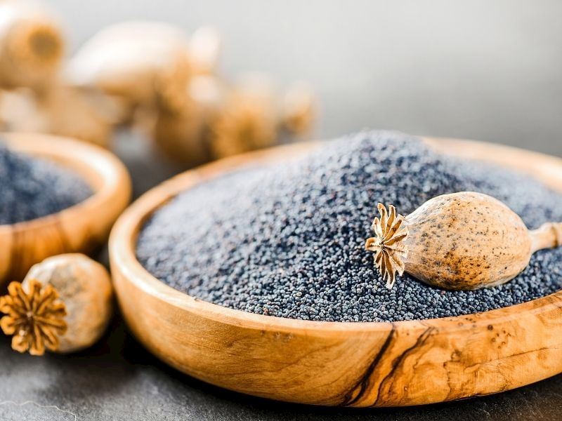 Haşhaşın Faydaları Nelerdir, Haşhaş Ne İşe Yarar?