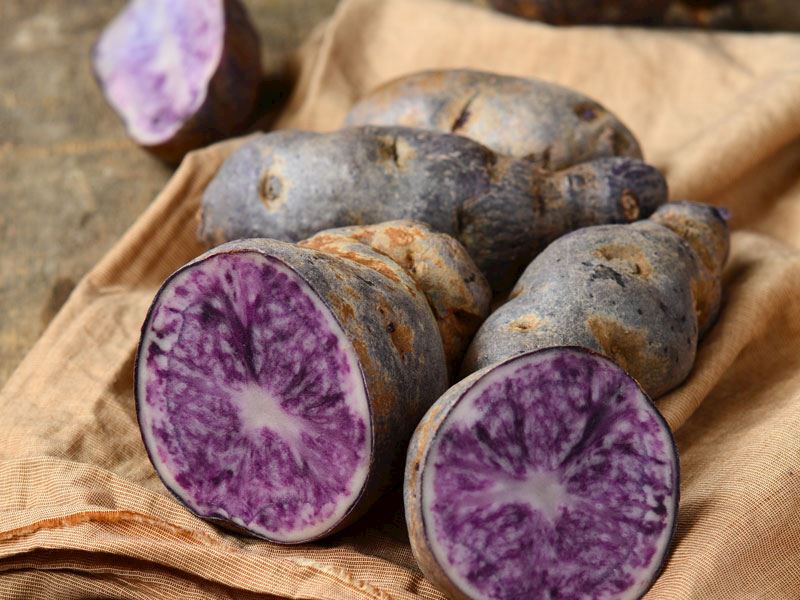 Mor Patates Nasıl Pişirilir?