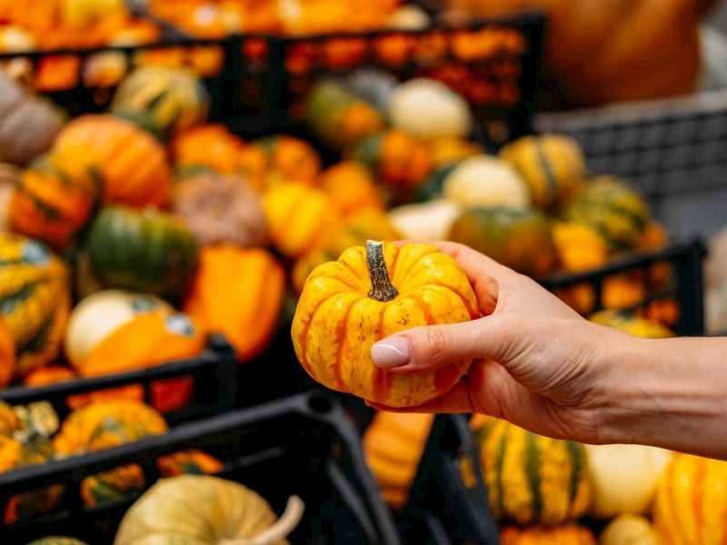 Süs Kabağı Yenir Mi?